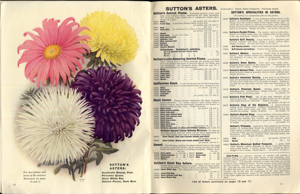 Sutton's Seeds Horticulture & General Seed Catalog 1933 Reading England